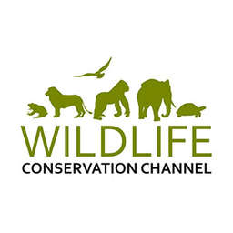 Wildlife Conservation Channel - Crunchbase Company Profile & Funding