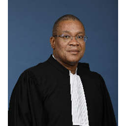 Patrick Amouzou - Member of the Council of the Order @ Barreau des ...