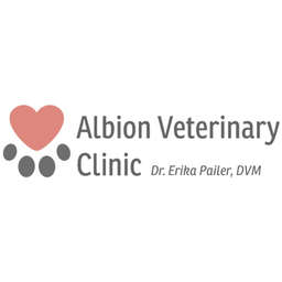 Albion Veterinary Clinic - Crunchbase Company Profile & Funding