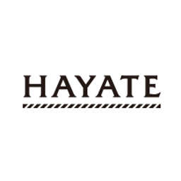 Hayate Investment - Financial Details