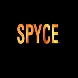 Spyce Sauce - Crunchbase Company Profile & Funding