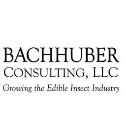 Bachhuber Consulting