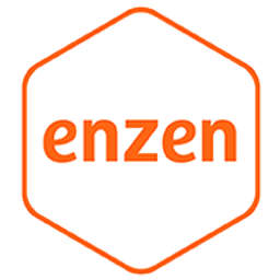 Enzen Global Solutions - Financial Details