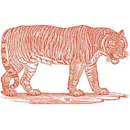 Tiger Investment Services - Crunchbase Company Profile & Funding