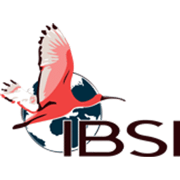 IBSI - News & Analysis