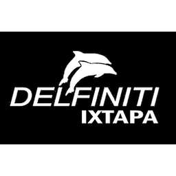 Delfiniti Ixtapa - Tech Details