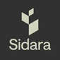 Sidara acquires Wood - Environment & Infrastructure business - 2025-08 ...