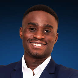 Brian Mlambo - Crunchbase Person Profile