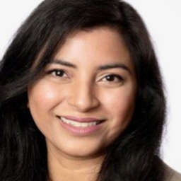 Binish Khan - SVP of Digital Engagement @ Vaniam Group - Crunchbase Person Profile