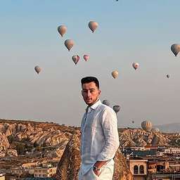 Robin Temmer - Crunchbase Person Profile