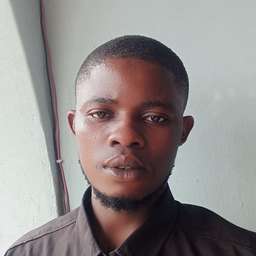 KAREEM RIDWAN ADEDAYO - Crunchbase Person Profile