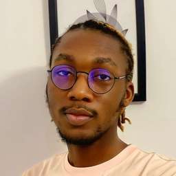 Praise Ajayi - Crunchbase Person Profile