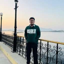 Shaurya Goel - Co-Founder @ HandyPanda - Crunchbase Person Profile