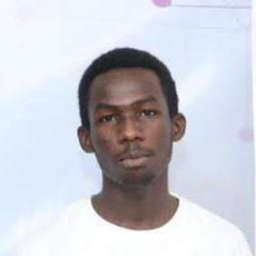 Muhammad Sani Ibrahim - Crunchbase Person Profile