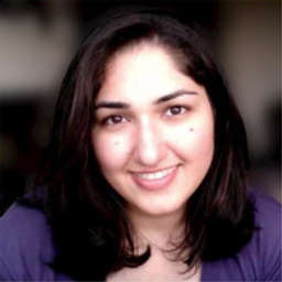 Iran Seyed Raeisy Huffels - Crunchbase Person Profile