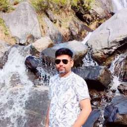 Parag Goswami - Crunchbase Person Profile