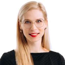 Merlin Langel - CEO and Founder @ Lanmer - Crunchbase Person Profile