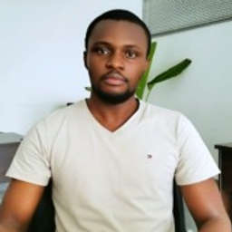 Emmanuel Ugwu - Founder and CEO @ MicroFuse Technologies - Crunchbase Person Profile