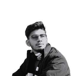 Subhrajyoti Basu - Crunchbase Person Profile