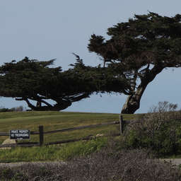 Alton Climer - Crunchbase Person Profile