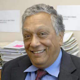 Bishnu Rauth - Crunchbase Person Profile