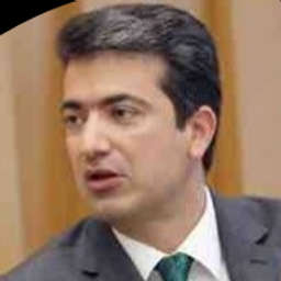 Pedram Soltani - Chairman and Founder @ Persal Group - Crunchbase Person Profile