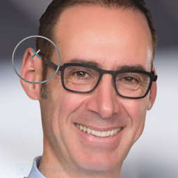 Jean Bismuth - CMO and Co-Founder @ IntelVasc - Crunchbase Person Profile