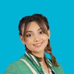 Sara Ghani - Crunchbase Person Profile