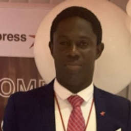 Patrick Nwosu - Founder and Commercial Sales Executive @ Red Star Express - Crunchbase Person ...