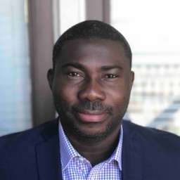 Bayo Adebogun - Crunchbase Person Profile