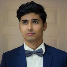 Munish Raghuwanshi - Business Operations Lead @ Pulse Industrial ...