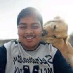 Rudra N Ghosh - Crunchbase Person Profile