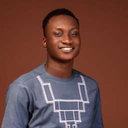 Ore Adesina - Co-Founder & Managing Executive @ AYEKOO AFRIQUE ...