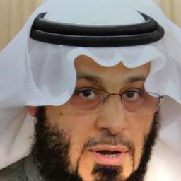 Omar Halabi - Ceo & Founder @ Meras Consulting - Crunchbase Person Profile