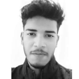 Naresh Narayan - Crunchbase Person Profile