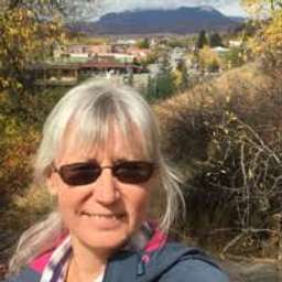 Edwina Houlmiere - President @ Shielding Integrity Services ...