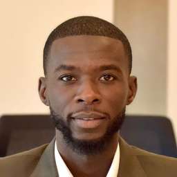 Mohamed Dieng - Crunchbase Person Profile