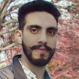 Syed Falak - Chief Executive Officer @ Delightful Islamabadians ...