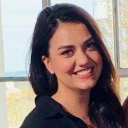 Laura Florescu - Crunchbase Person Profile