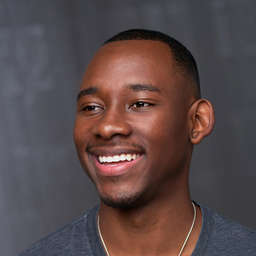 Michael Maponga - Founder, CEO @ AfroLandTV - Crunchbase Person Profile