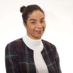 Marya Stevens - Account Director @ Blink - Crunchbase Person Profile