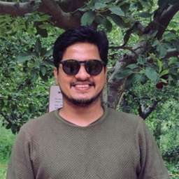 Nirmal Vatsyayan - Co-Founder & CTO @ Pintel.AI - Crunchbase Person Profile