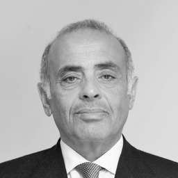 Ahmed Ben Halim - Founding Partner @ The Capital Partnership ...