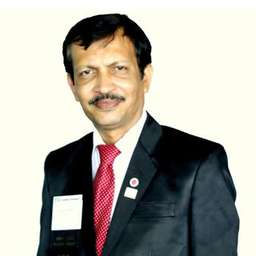 Atul G Pandya - Founder & CEO @ India Online Business Solutions ...