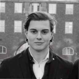 Alexander Olsson - CEO & Co-Founder @ Pigello - Crunchbase Person Profile