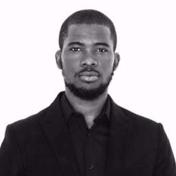 Michael Adeyeri - Crunchbase Person Profile