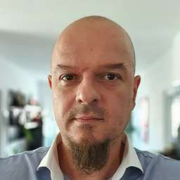 Lepadatu Leonard - Crunchbase Person Profile