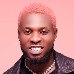 Wizzy Flow - Crunchbase Person Profile