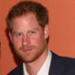 Harry Norville - Crunchbase Person Profile