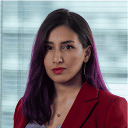 Elaheh Ahmadi - Co-Founder @ Themis AI - Crunchbase Person Profile